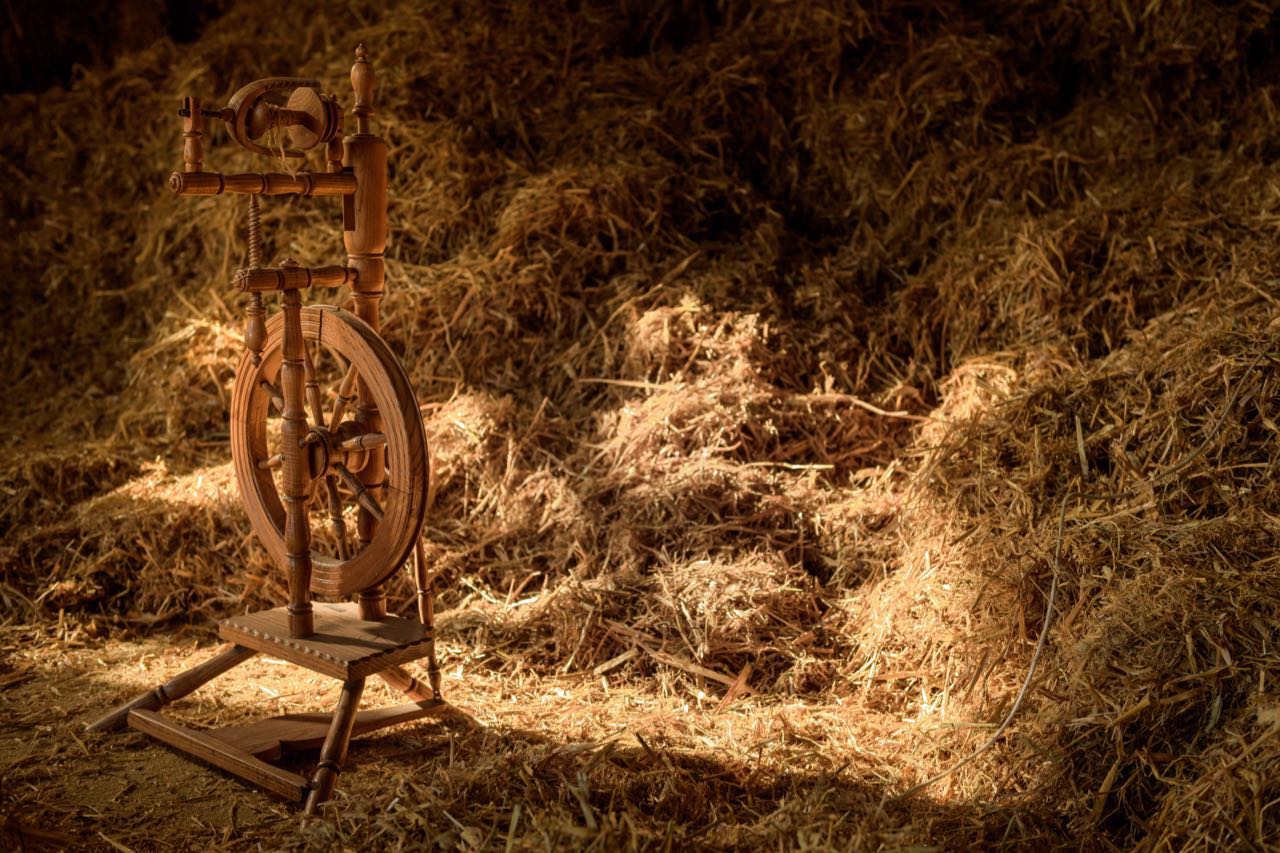 Michael Benedict Bender: Fräulein Müller spinnt | Schola Cantorum Leipzig